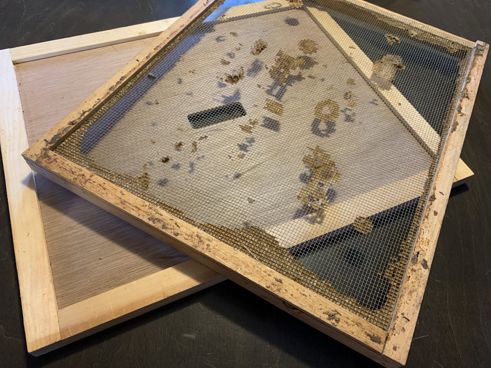 DIY Screened Inner Covers - Backyard Beekeeping